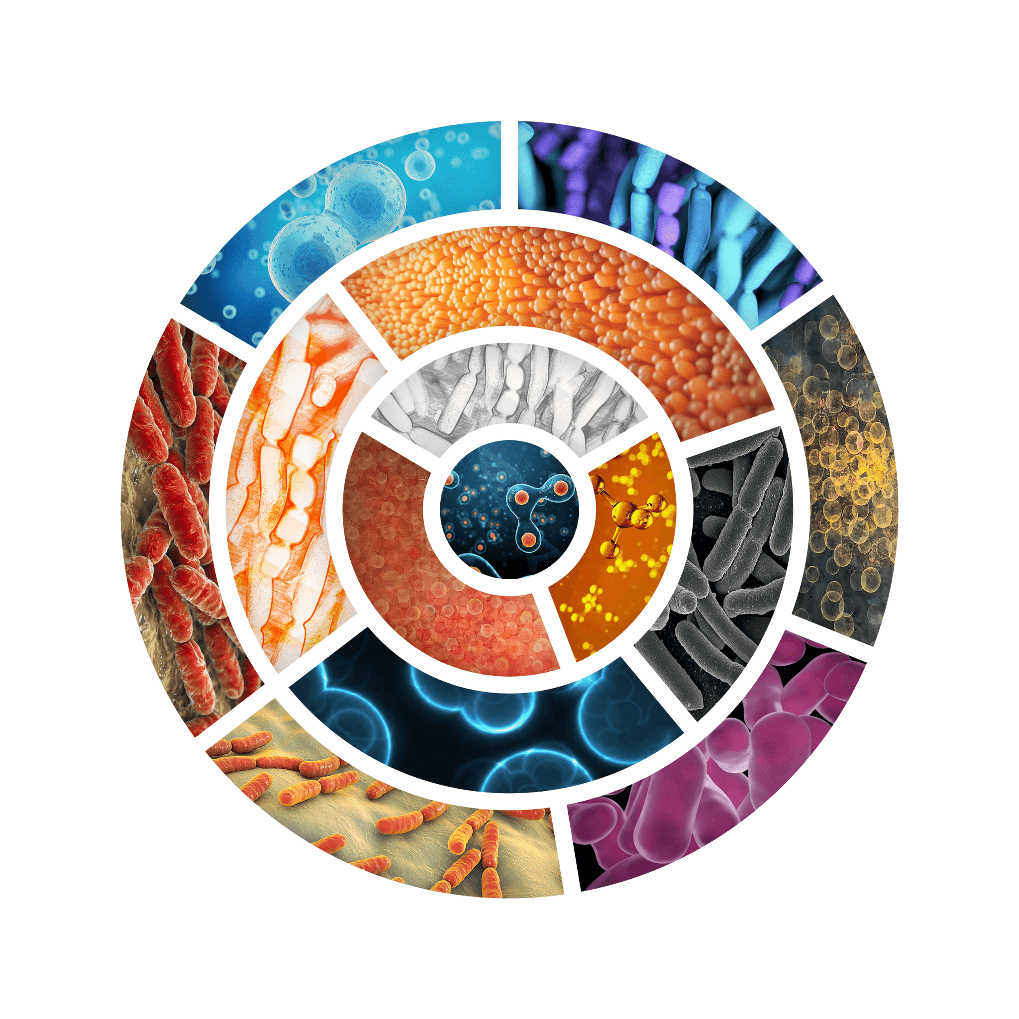 What Is The Gut Skin Connection? - Skinesa